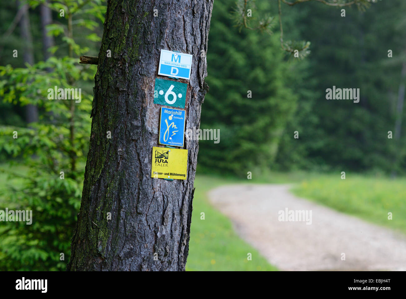 Tree marks hi-res stock photography and images - Alamy