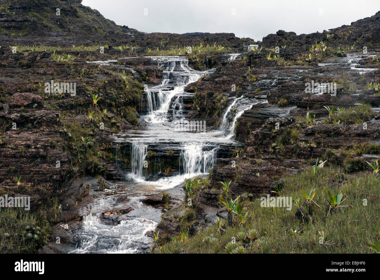 Mount Roraima Waterfalls