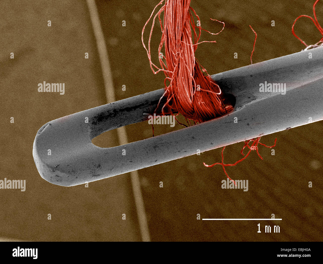 Colorized sem scanning electron microscope hi-res stock photography and ...