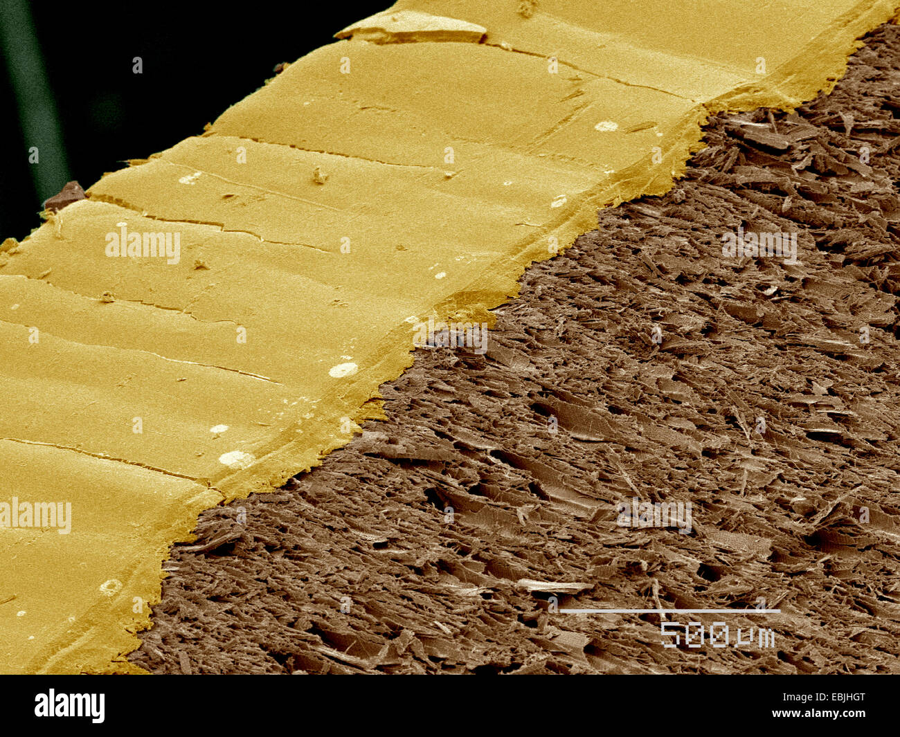 Number 2 pencil hi-res stock photography and images - Alamy