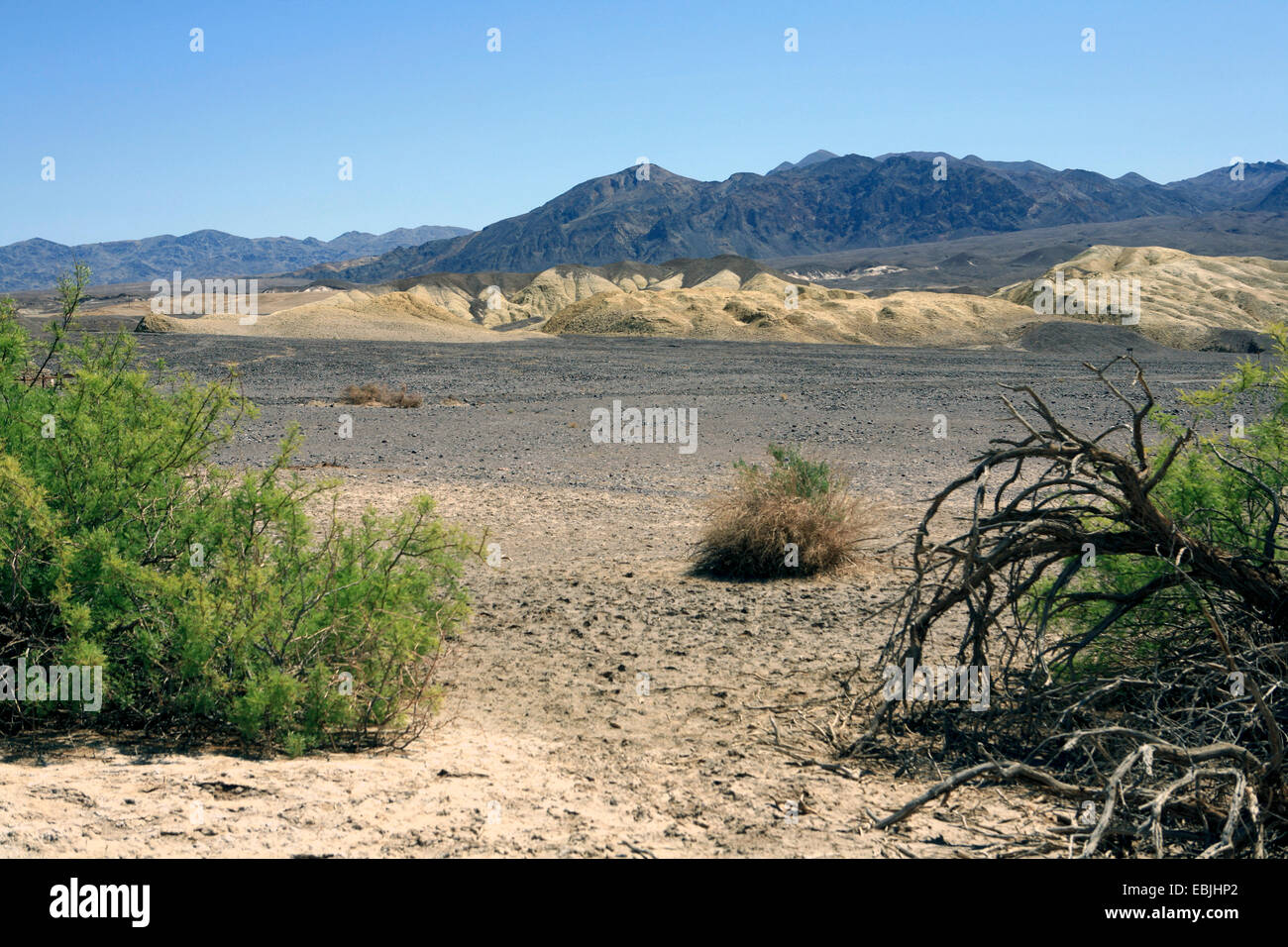 desert landscape in the Death Valley, USA, California, Death Valley ...
