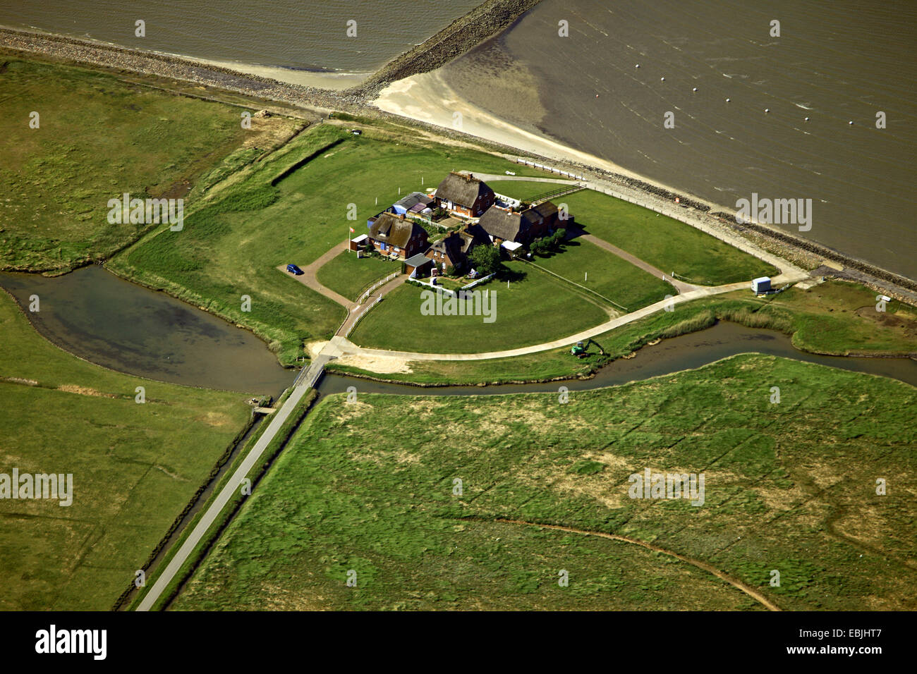 Halligen island farm hi-res stock photography and images - Alamy