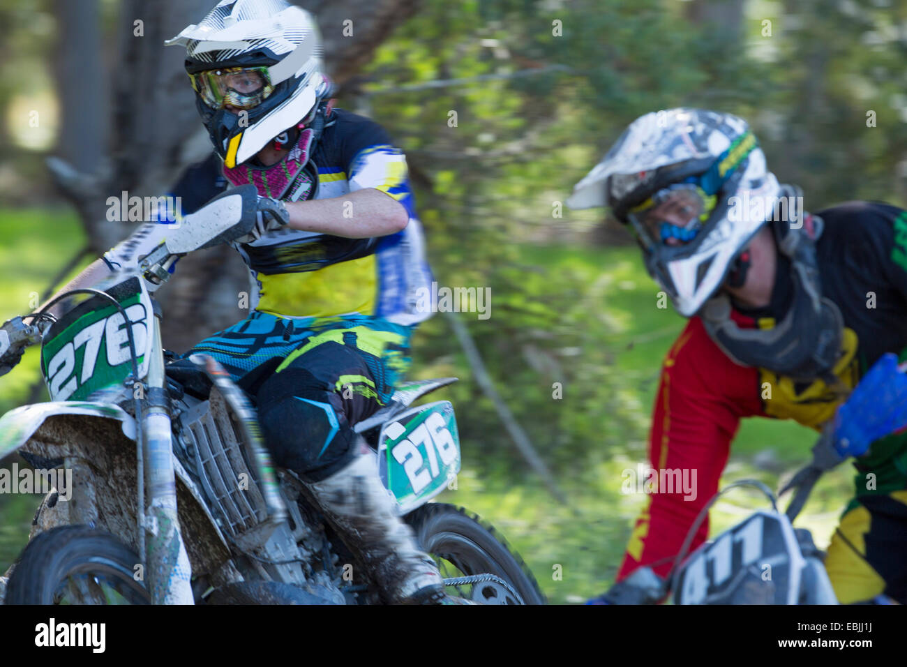 Two young male motocross riders racing through forest Stock Photo - Alamy