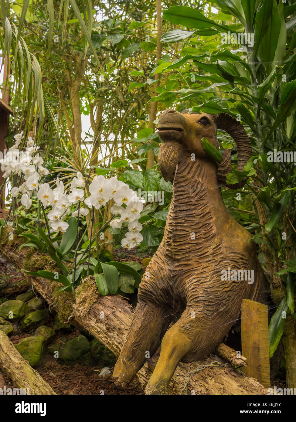 Ram symbol hi-res stock photography and images - Alamy