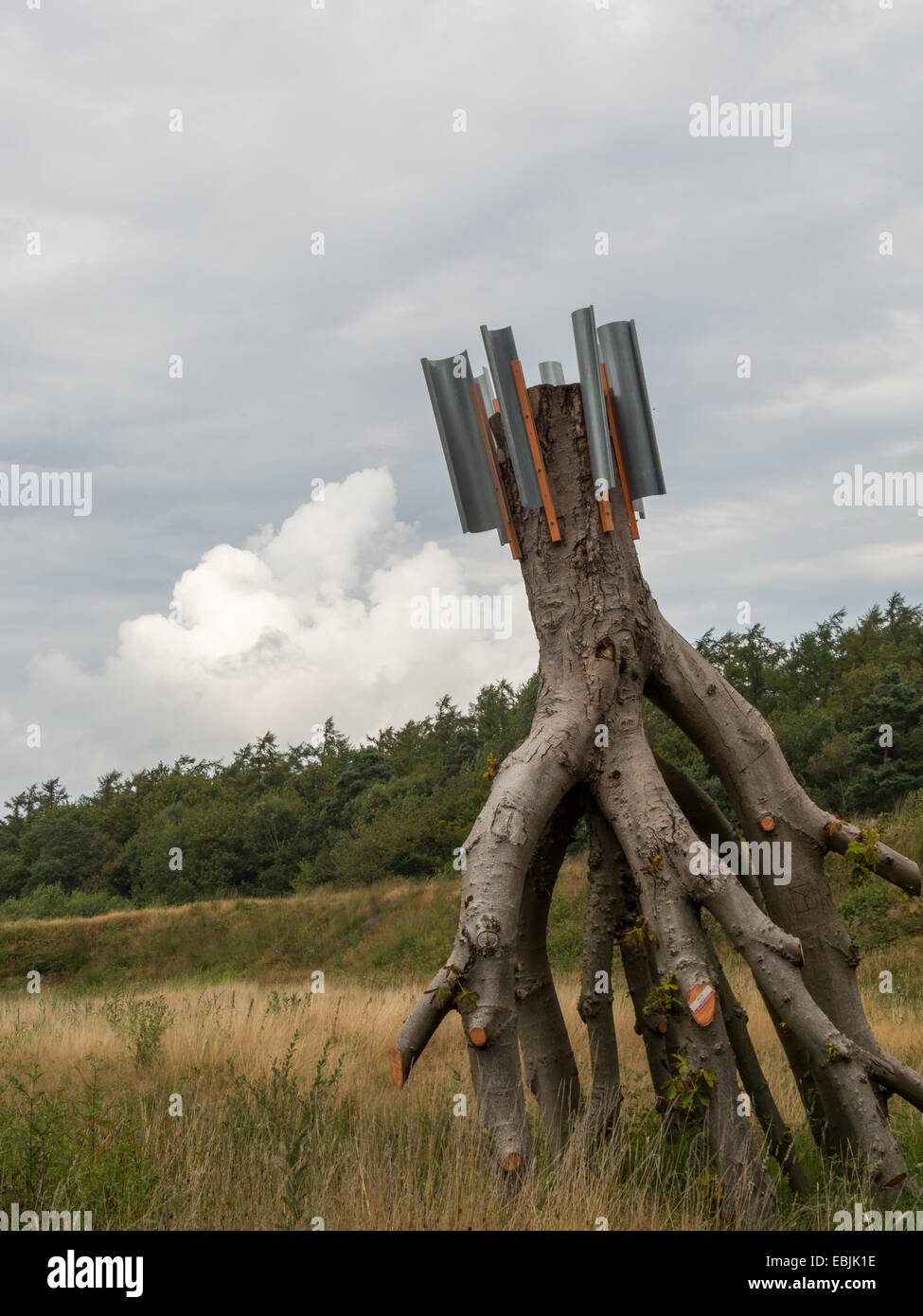 Natural tree trunk abstract artwork in Dutch nature reserve Stock Photo ...