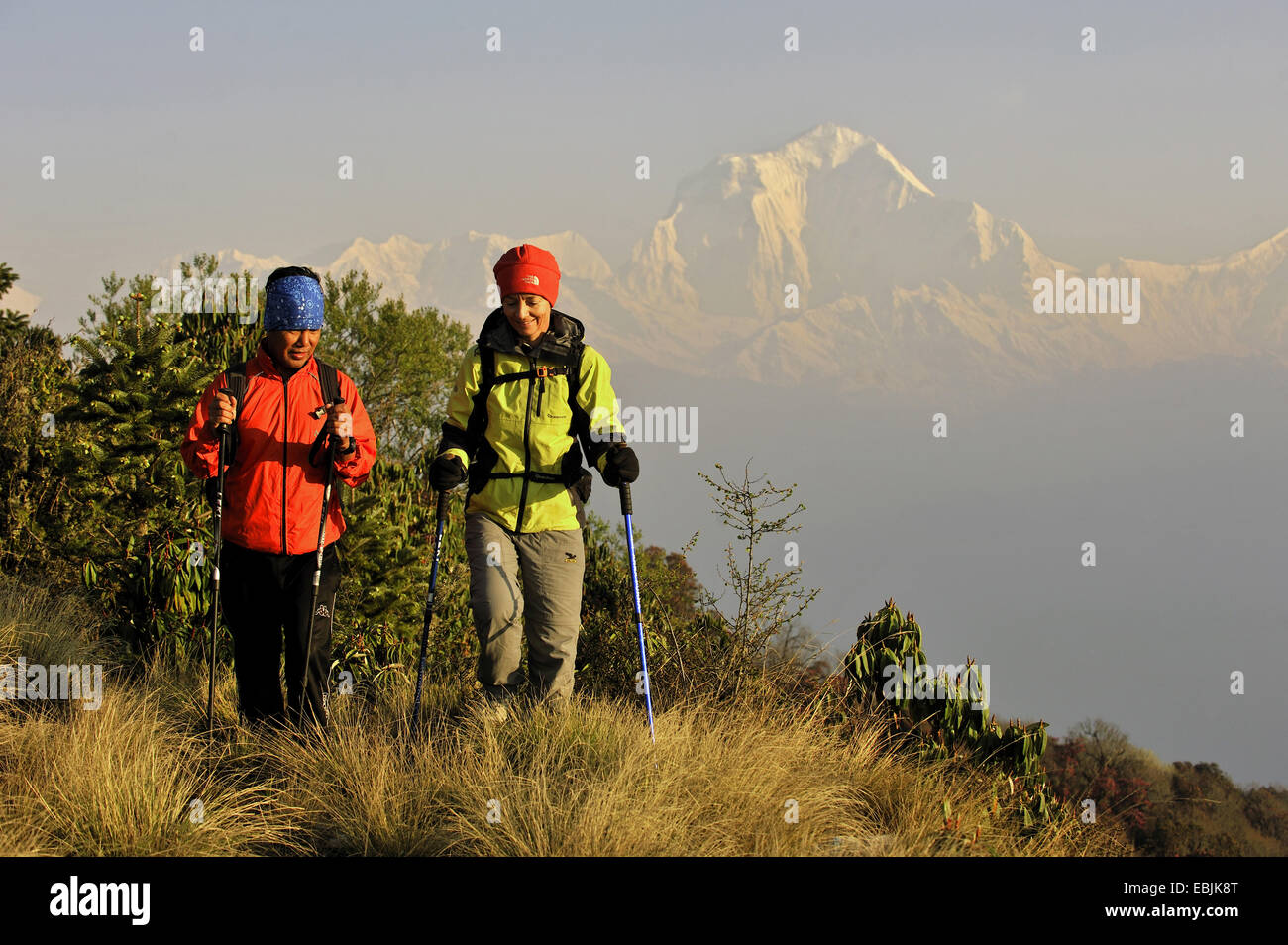 female mountain hiker with her guide on a trail at the Annapurna massif ...