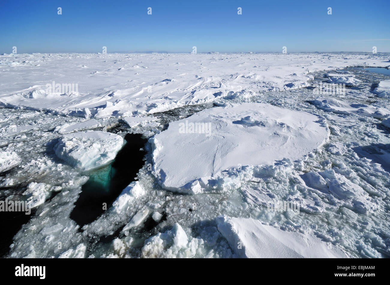 Antarctic iceberg field with blue sky, Antarctica Stock Photo - Alamy