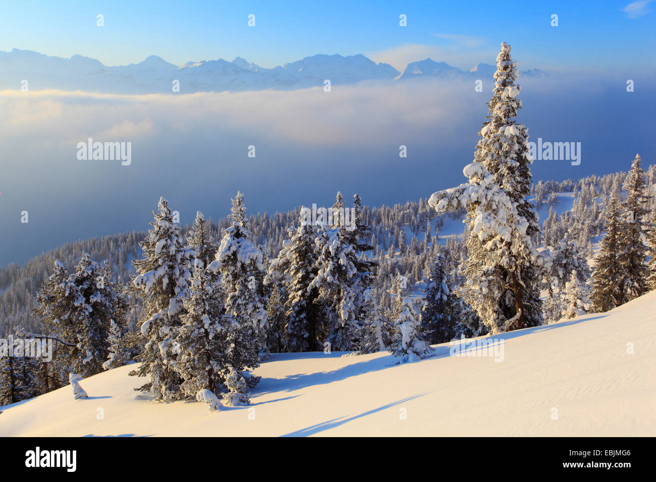 Winter snow and snow panoramic view hi-res stock photography and images ...
