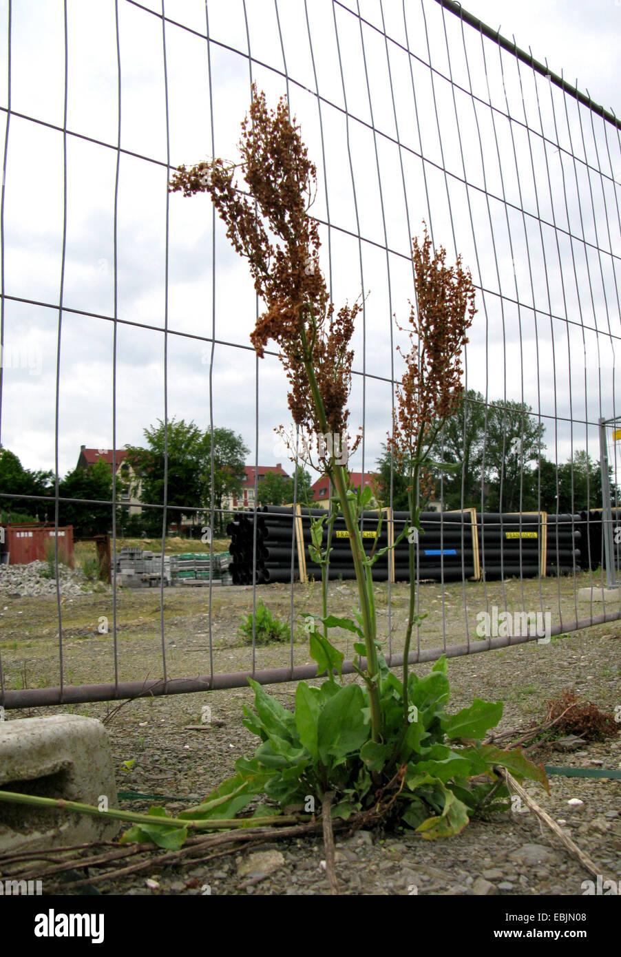 Vertical hoarding hi-res stock photography and images - Alamy