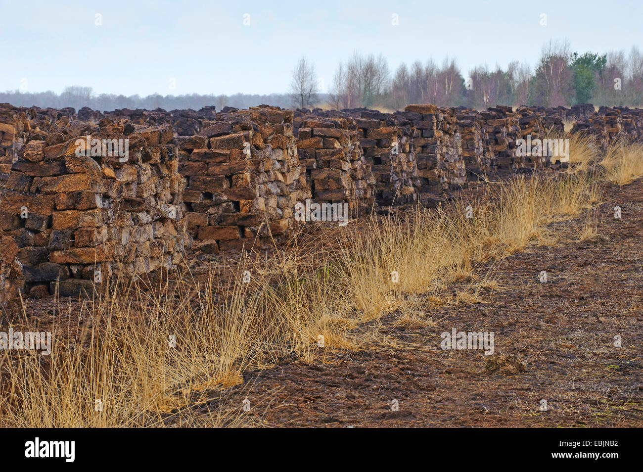 lots of stacks of bales of peat at the peat extraction at the ...