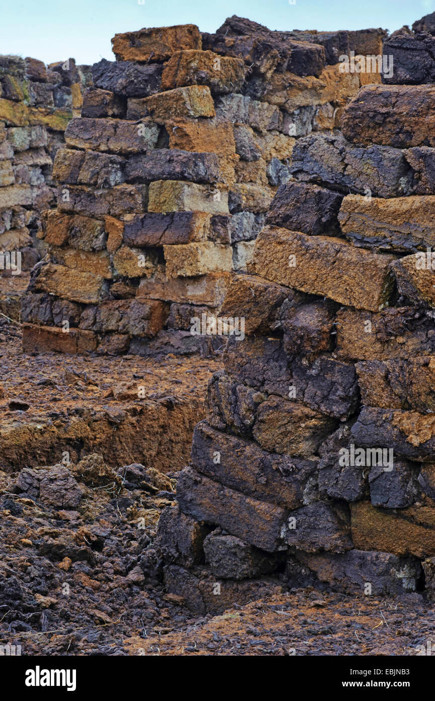 stacks of bales of peat at the peat extraction at the Goldenstedter ...