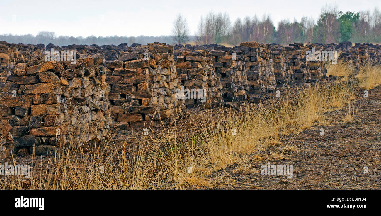 lots of stacks of bales of peat at the peat extraction at the ...