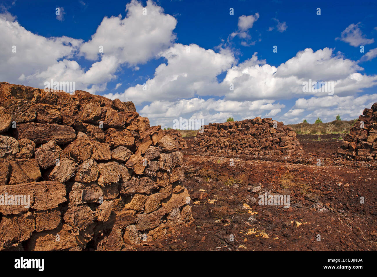 stacks of bales of peat at the peat extraction at the Goldenstedter ...