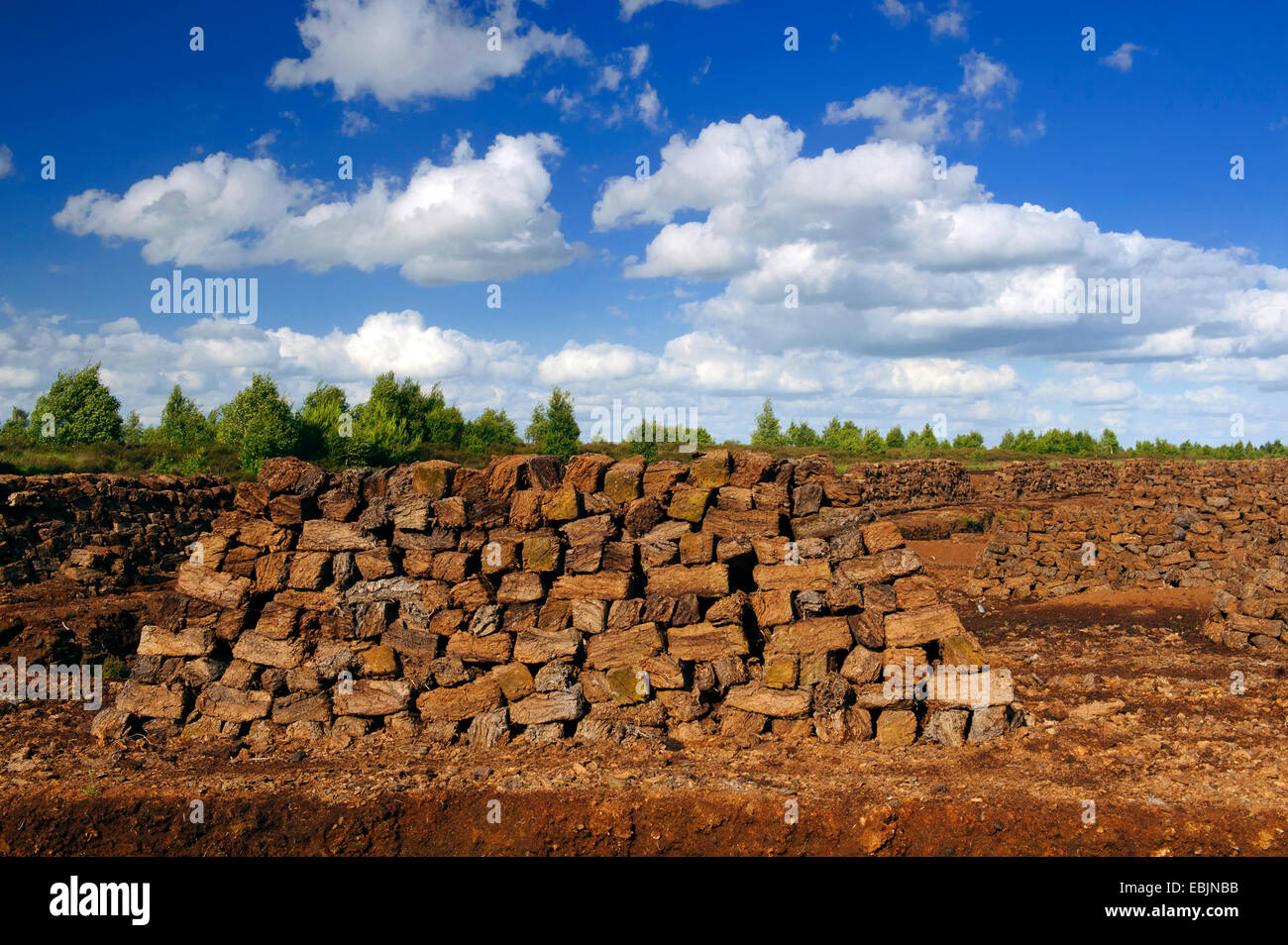 stacks of bales of peat at the peat extraction at the Goldenstedter ...