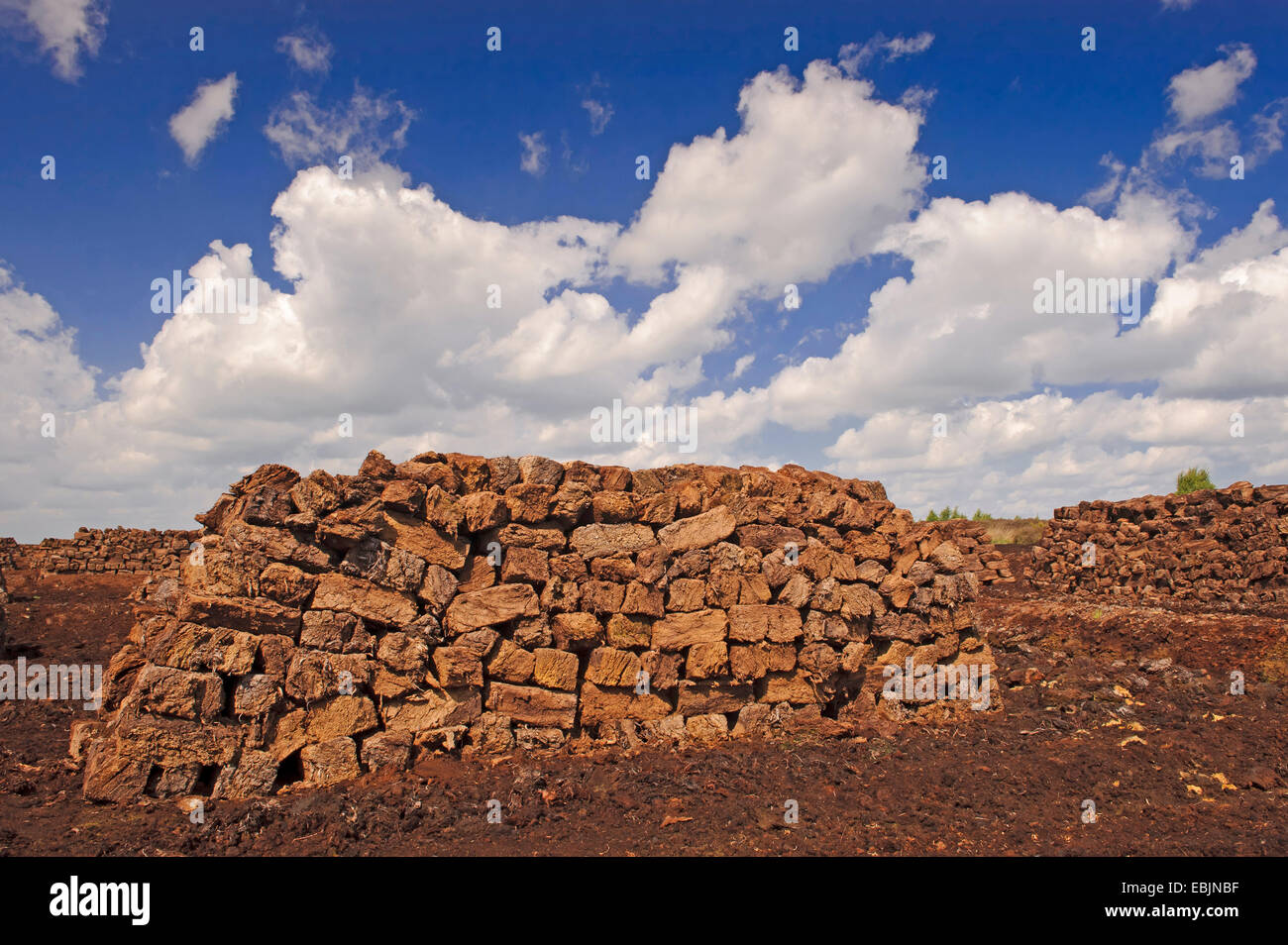 stacks of bales of peat at the peat extraction at the Goldenstedter ...