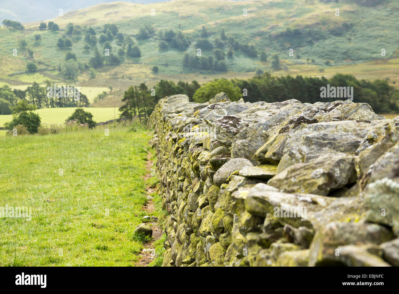 Farms stone wall in hi-res stock photography and images - Alamy