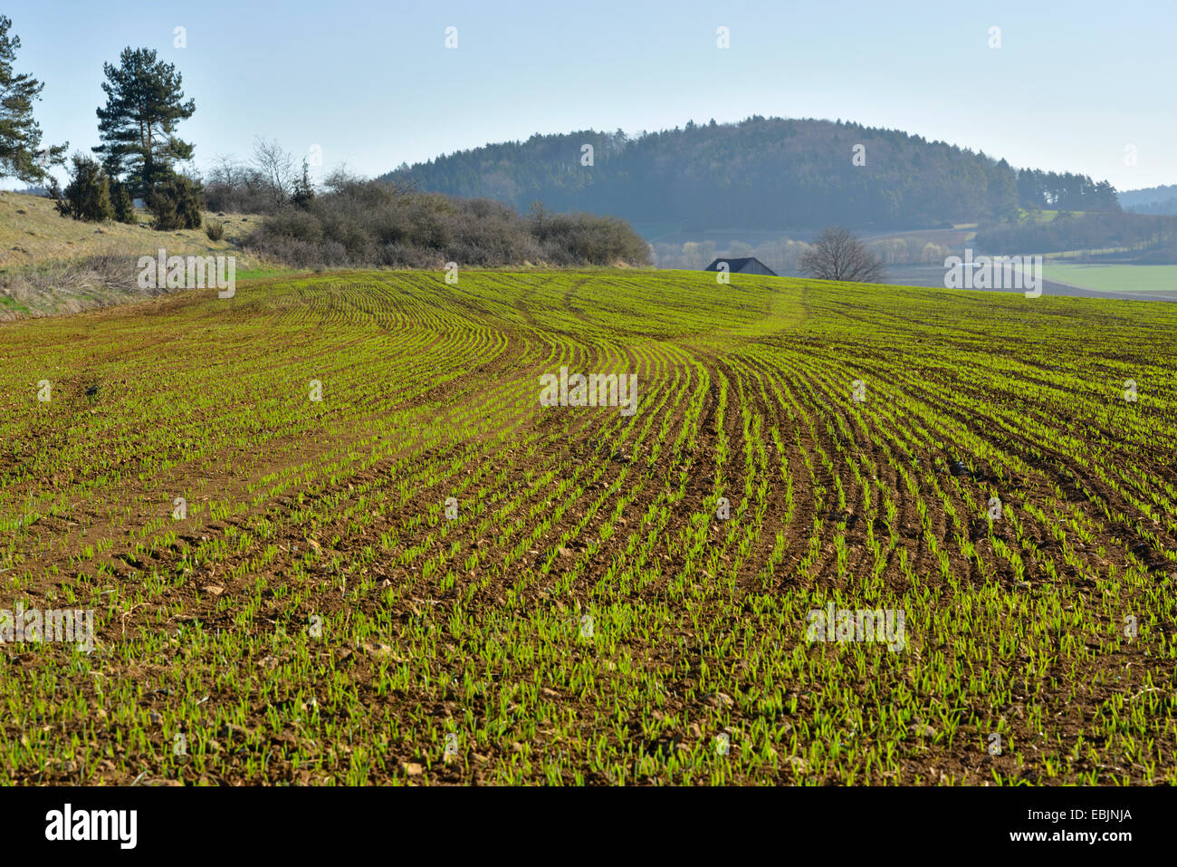 Panorama fields in bavaria hi-res stock photography and images - Alamy