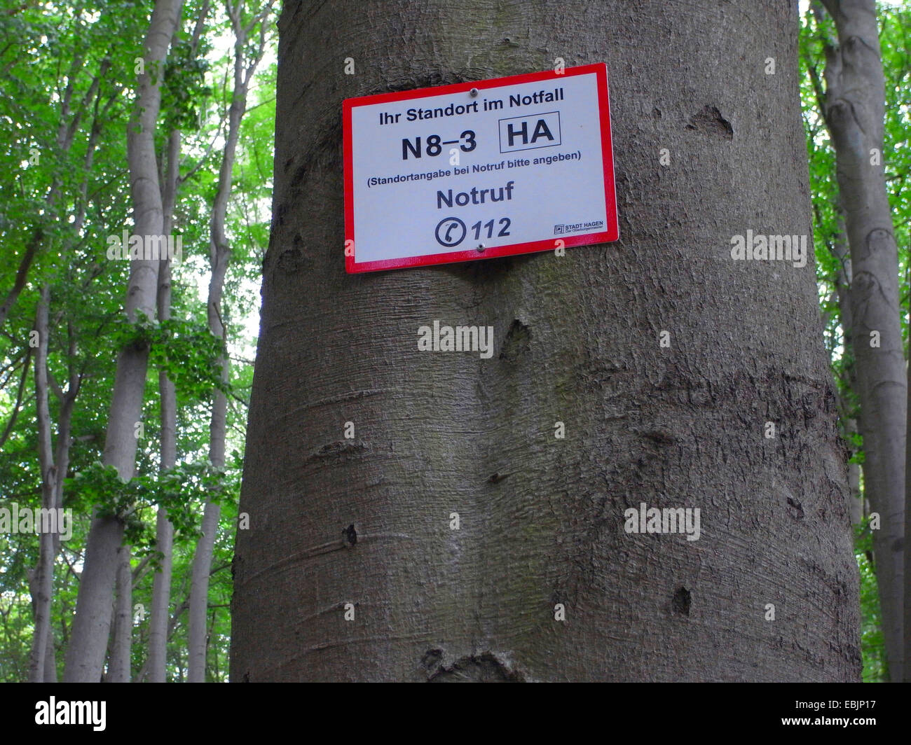 rescue point in a forest, Germany Stock Photo - Alamy