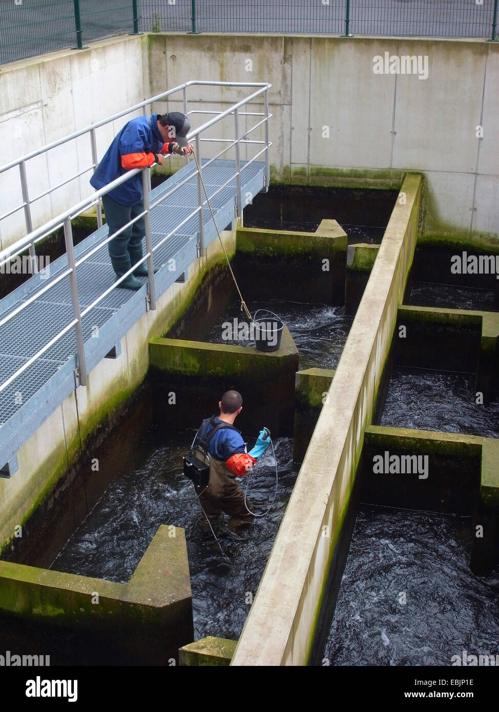 fish pass at Ruhr river, vertical slot, Germany, North Rhine-Westphalia ...