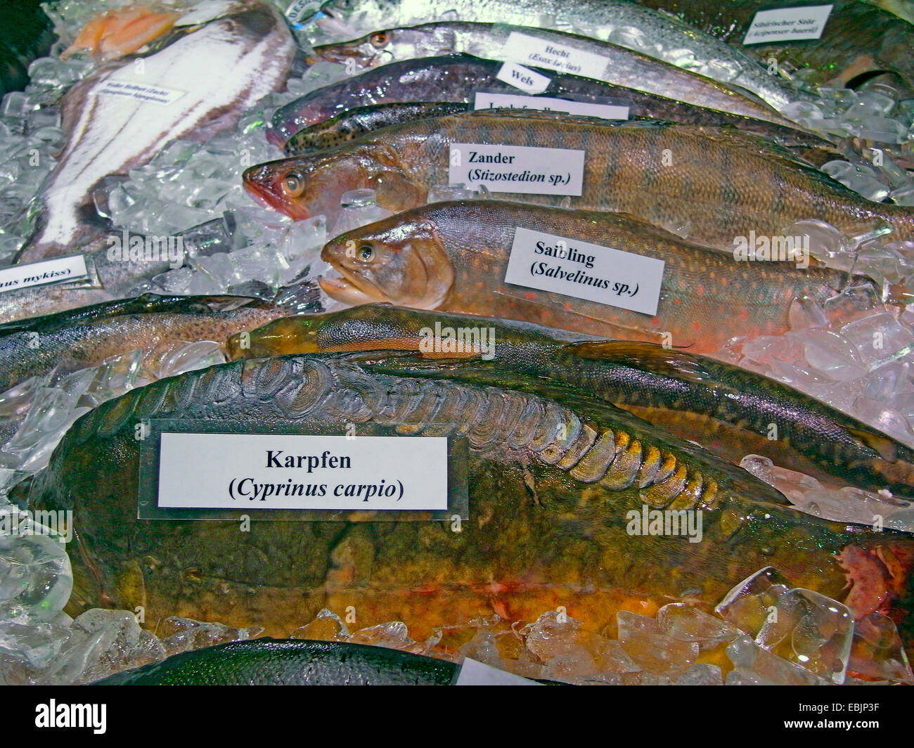 Fresh fish stand hi-res stock photography and images - Alamy