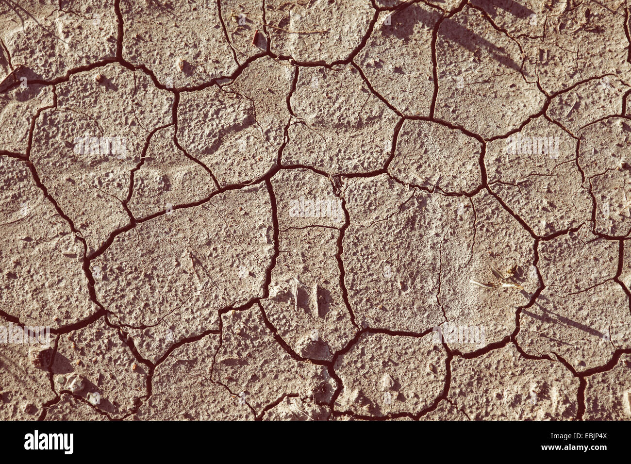 Cracked dried up soil hi-res stock photography and images - Alamy