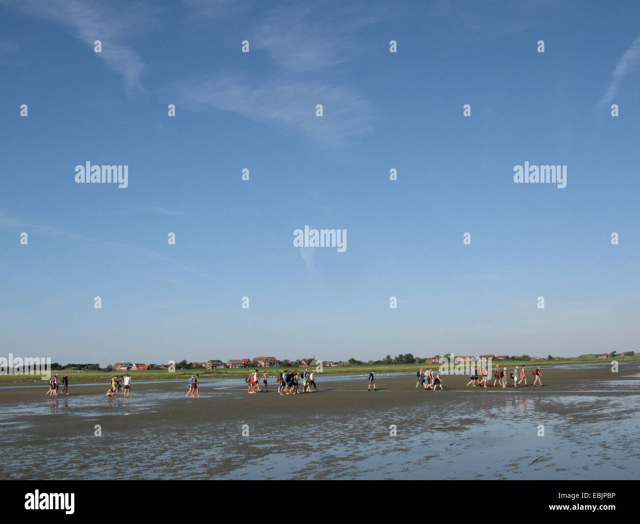 tidal flat hiker crossing the wadden sea from Baltrum to Nessmersiel ...