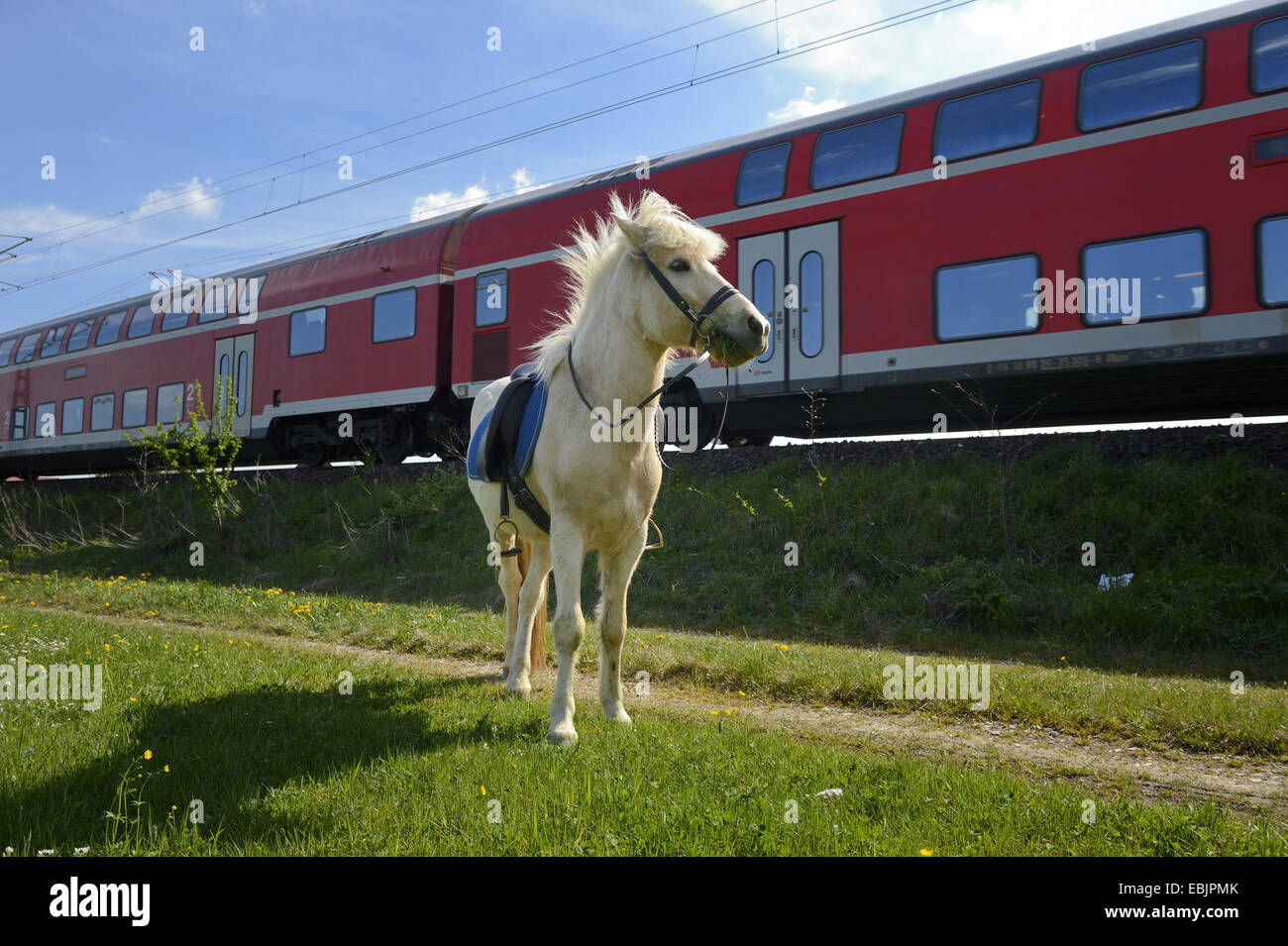 Icelandic railway hi-res stock photography and images - Alamy