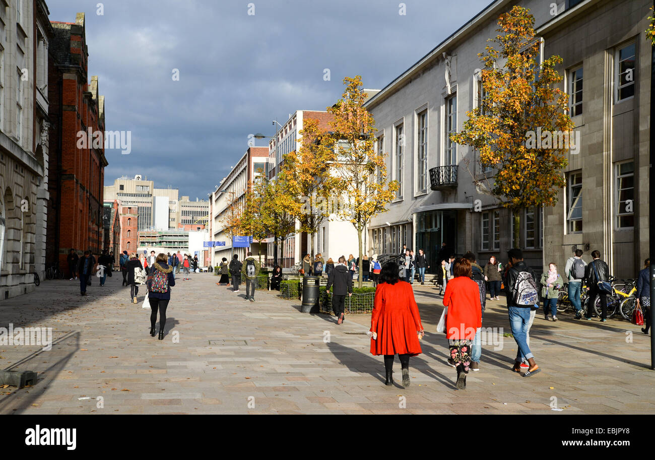 University of liverpool hi-res stock photography and images - Alamy