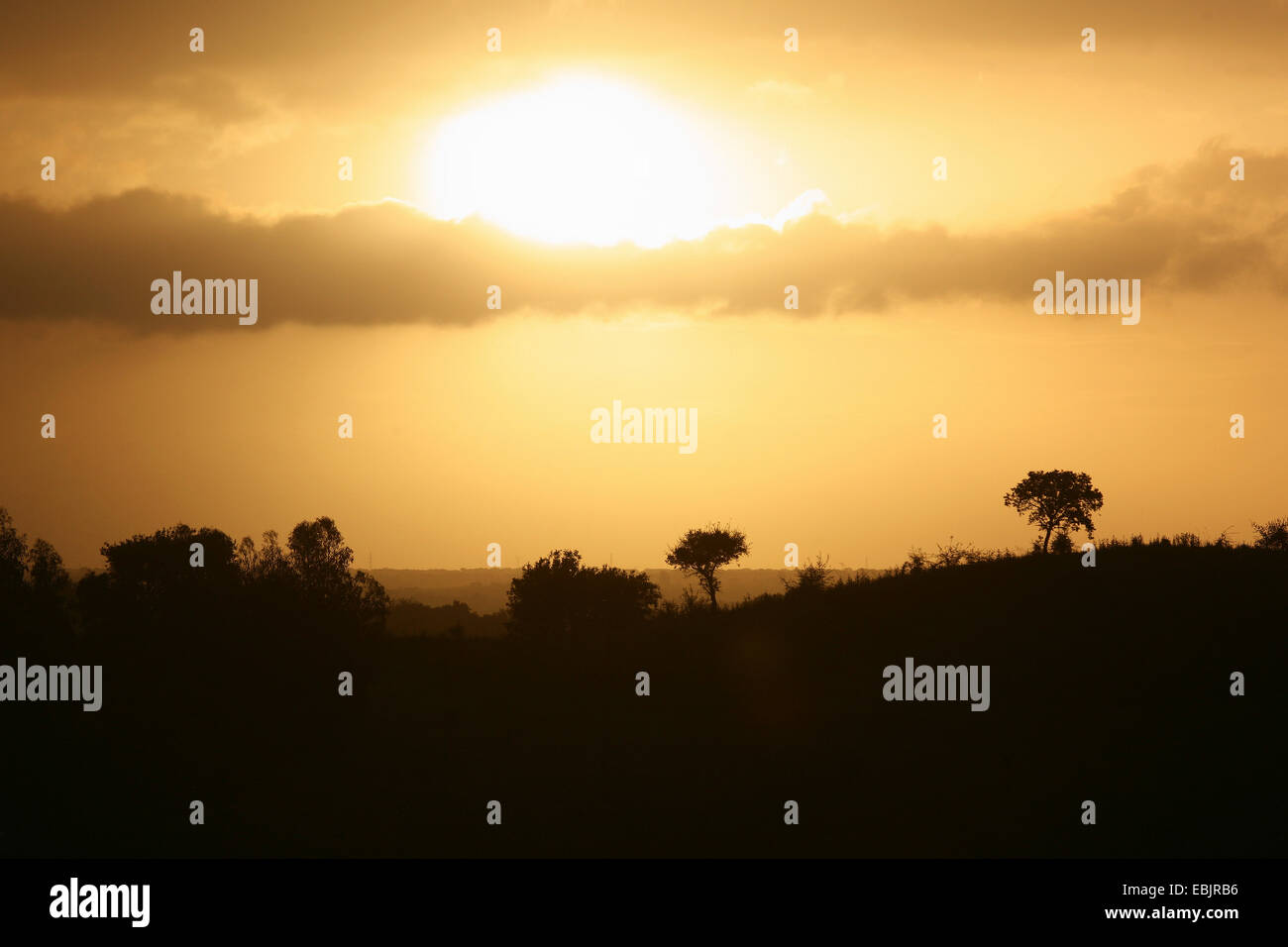 natural landscape in evening light, Portugal Stock Photo - Alamy