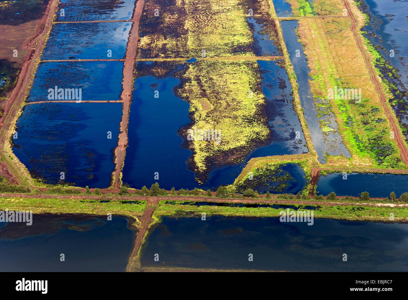 Bog area hi-res stock photography and images - Alamy