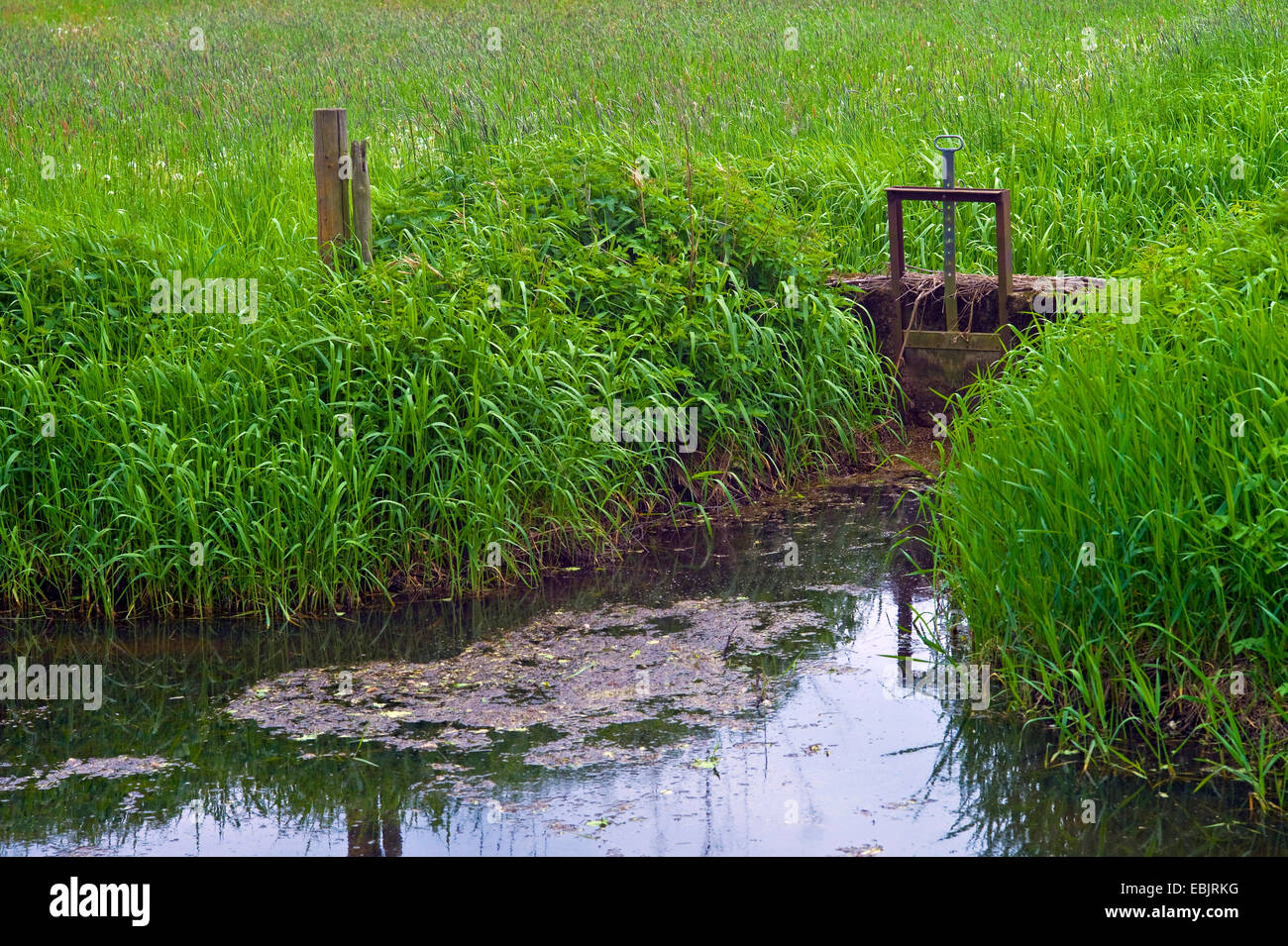 Sluice Stock Photos & Sluice Stock Images - Alamy