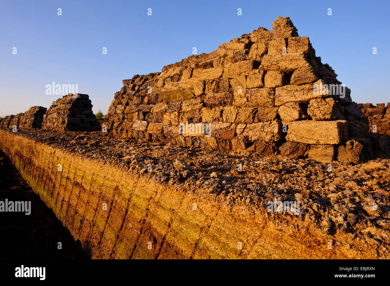 stacks of bales of peat at the peat extraction at the Goldenstedter ...