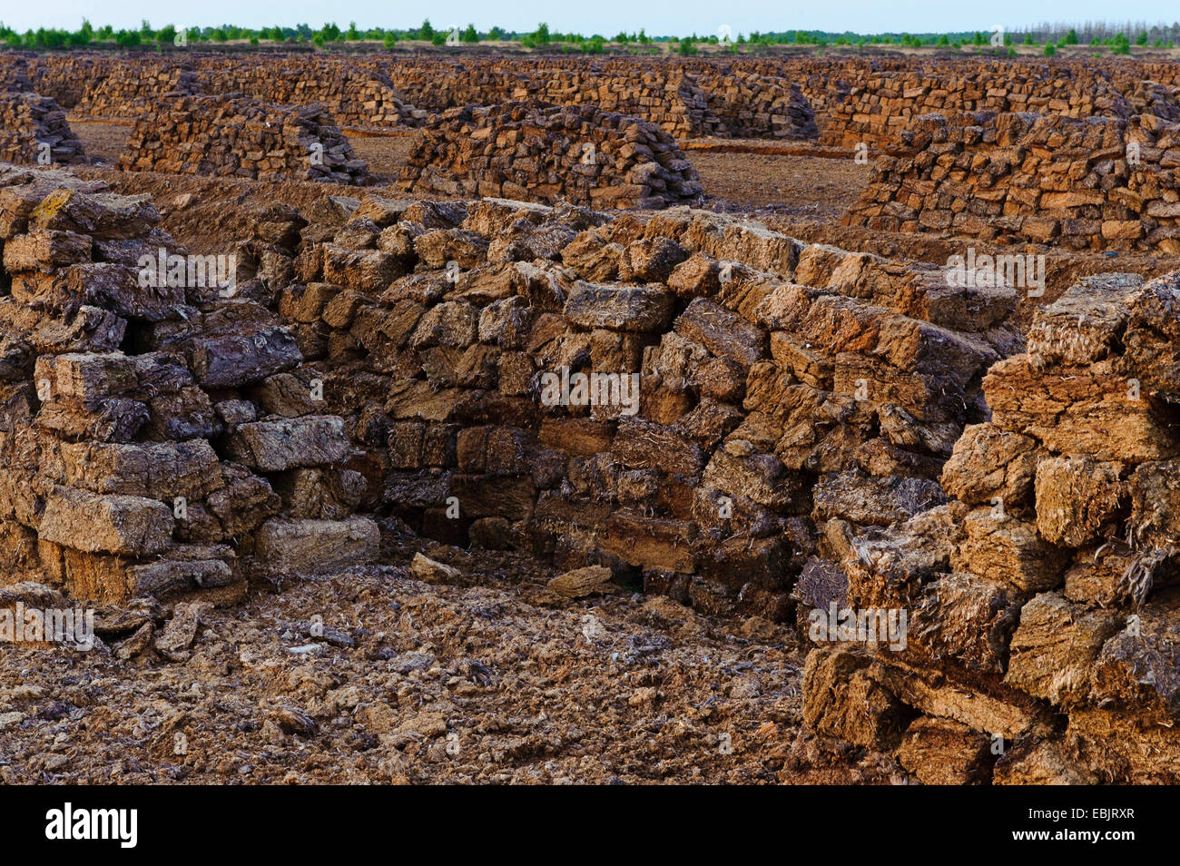 stacks of bales of peat at the peat extraction at the Goldenstedter ...