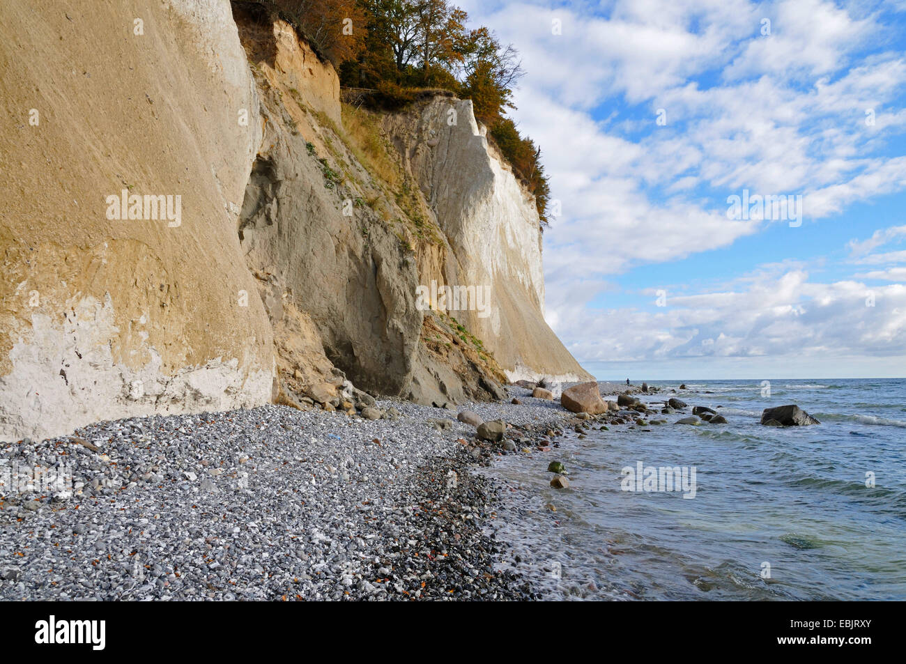 rockfall and shingle beach with chalk cliffs of Ruegen, Germany ...