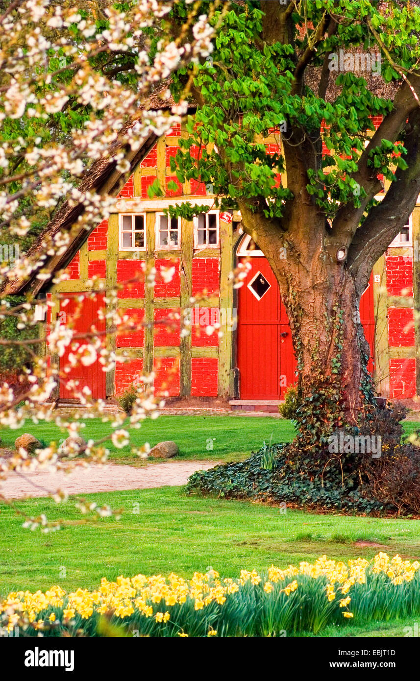 Facade of half timbered farmhouse in spring hi-res stock photography ...