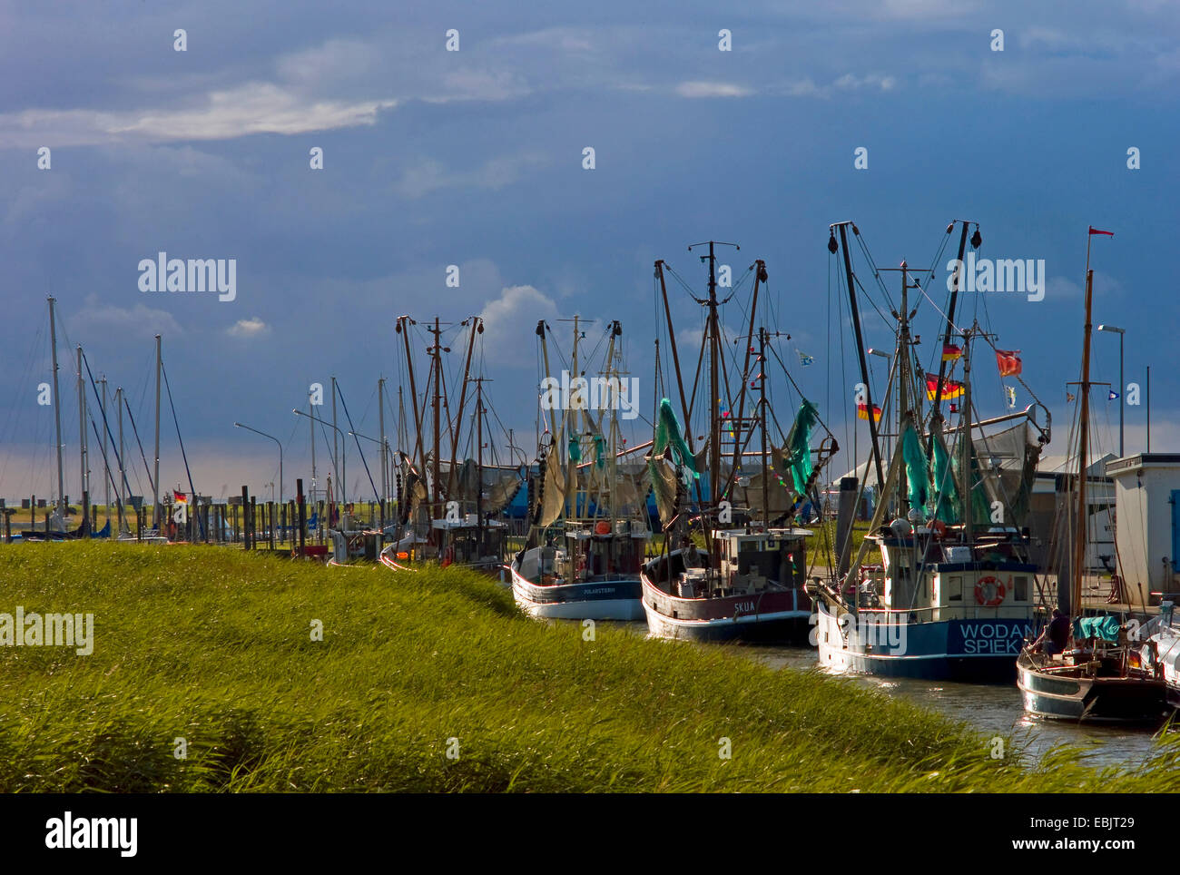Spieka neufeld lower saxony germany hi-res stock photography and images ...