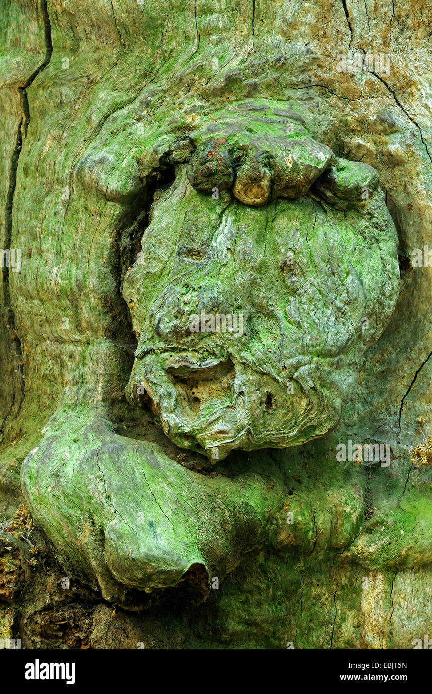 Riddle face hi-res stock photography and images - Alamy