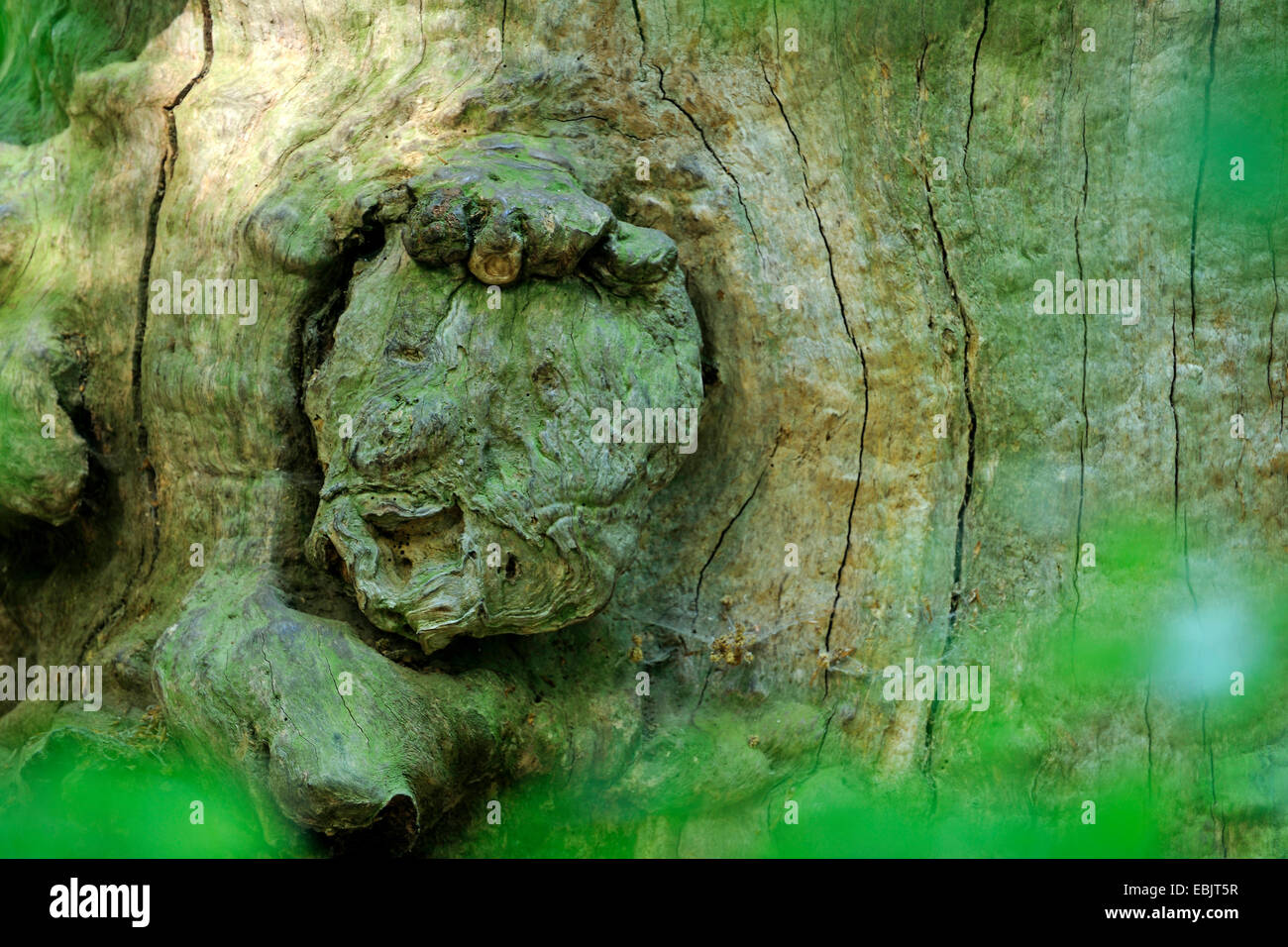 Gruesome shapes hi-res stock photography and images - Alamy