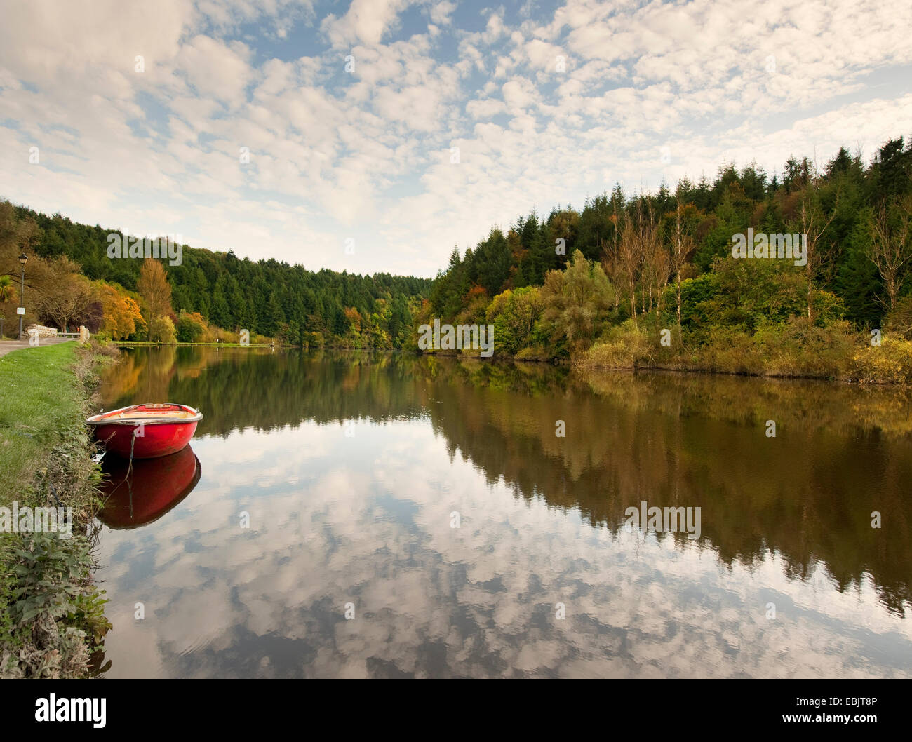 Red rowing boat on Barrow Navigation Canal, Ireland Stock Photo - Alamy