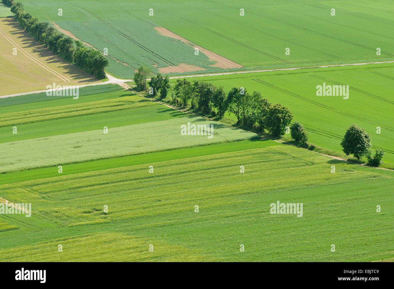 Crossing paths from above hi-res stock photography and images - Alamy
