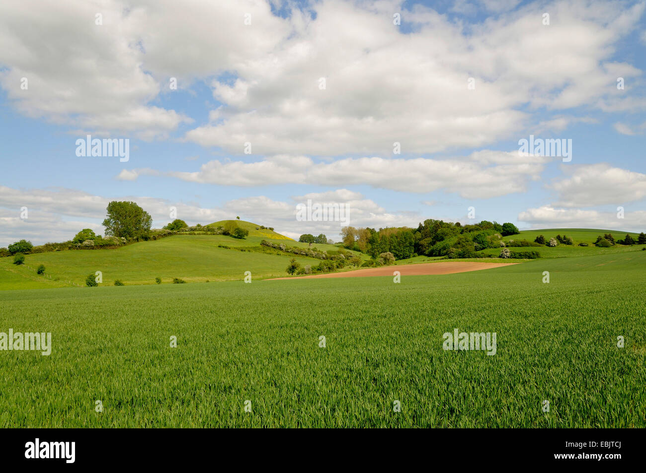 Hilly landscapes hi-res stock photography and images - Alamy