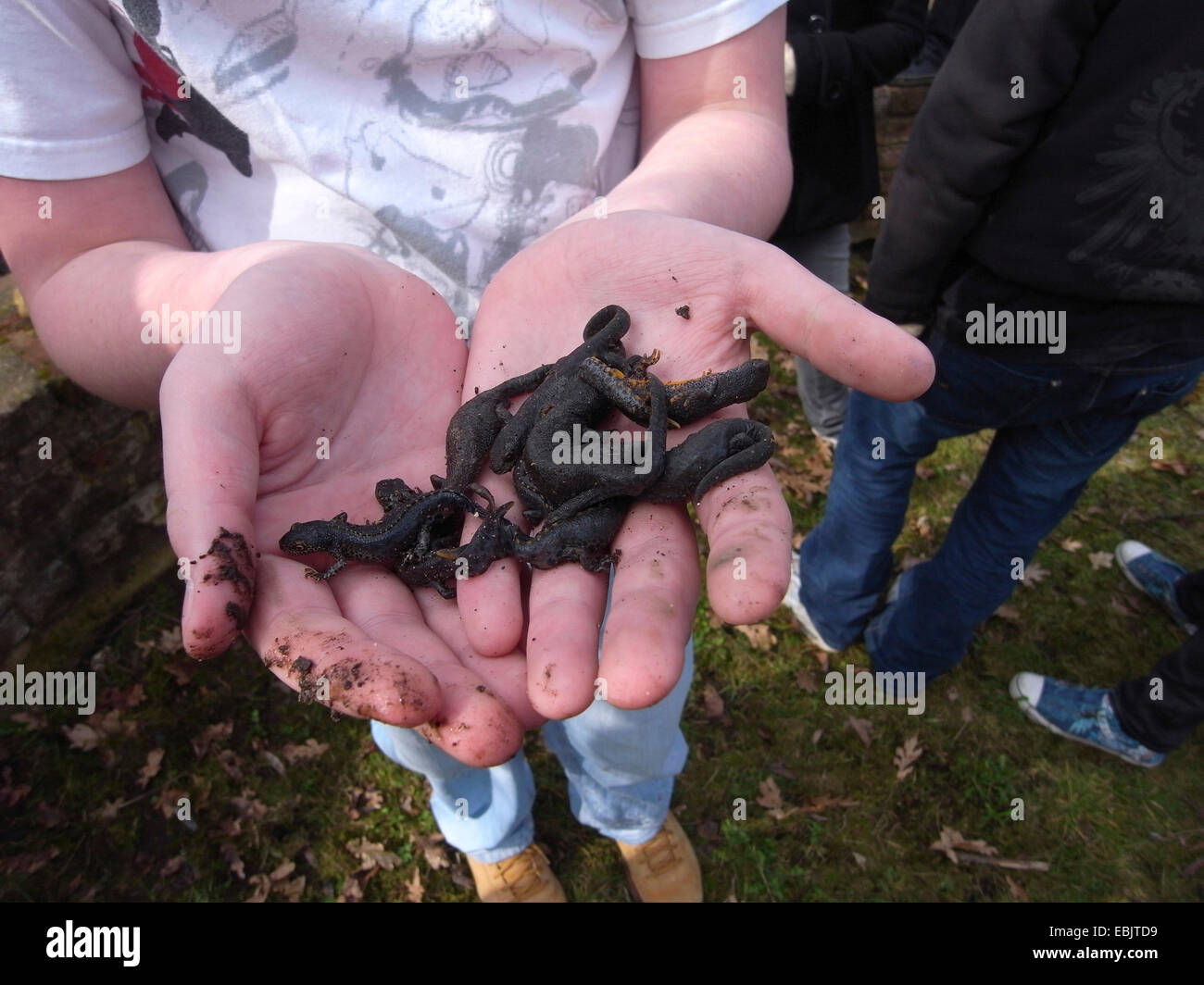Child with newt hi-res stock photography and images - Alamy