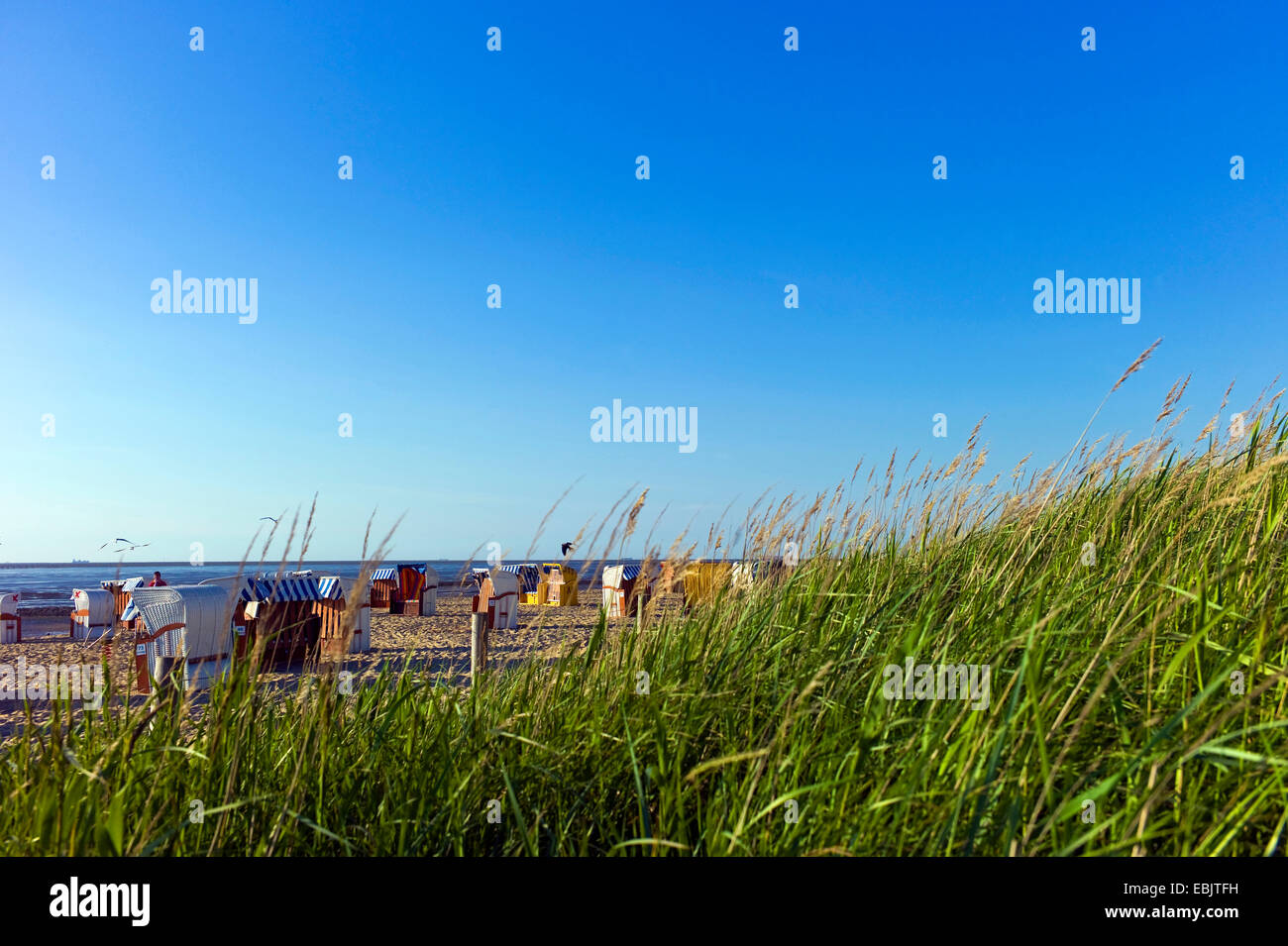 early summer at the beach of Cuxhaven Sahlenburg, Germany, Lower Saxony ...