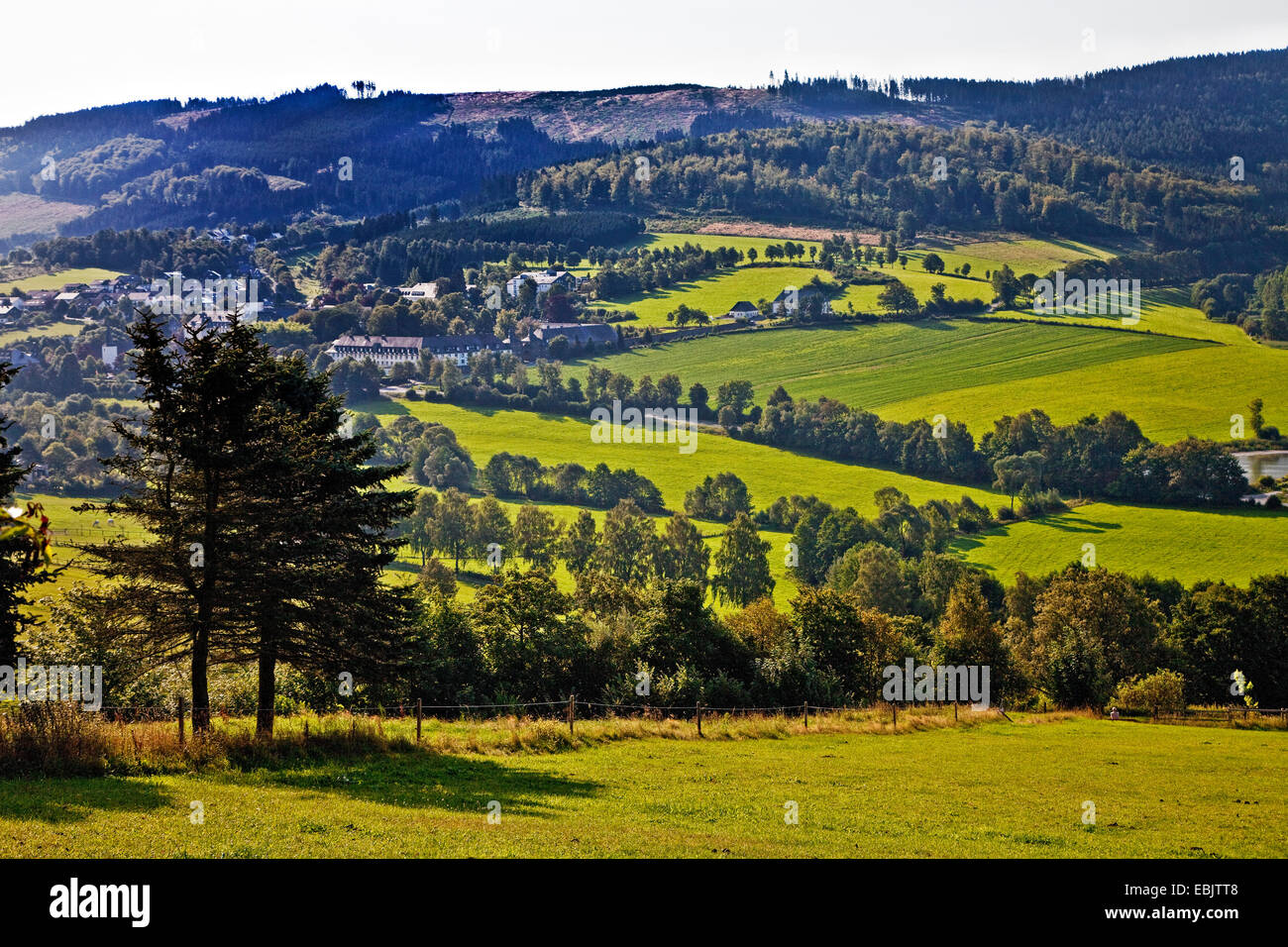field and meadow landscape of low mountain range, Germany, North Rhine ...