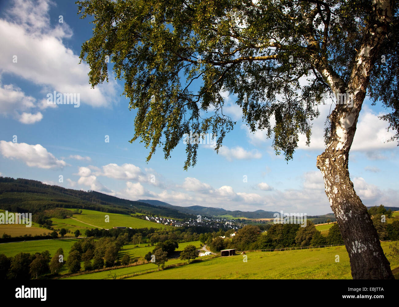 Grafschaft sauerland hi-res stock photography and images - Alamy
