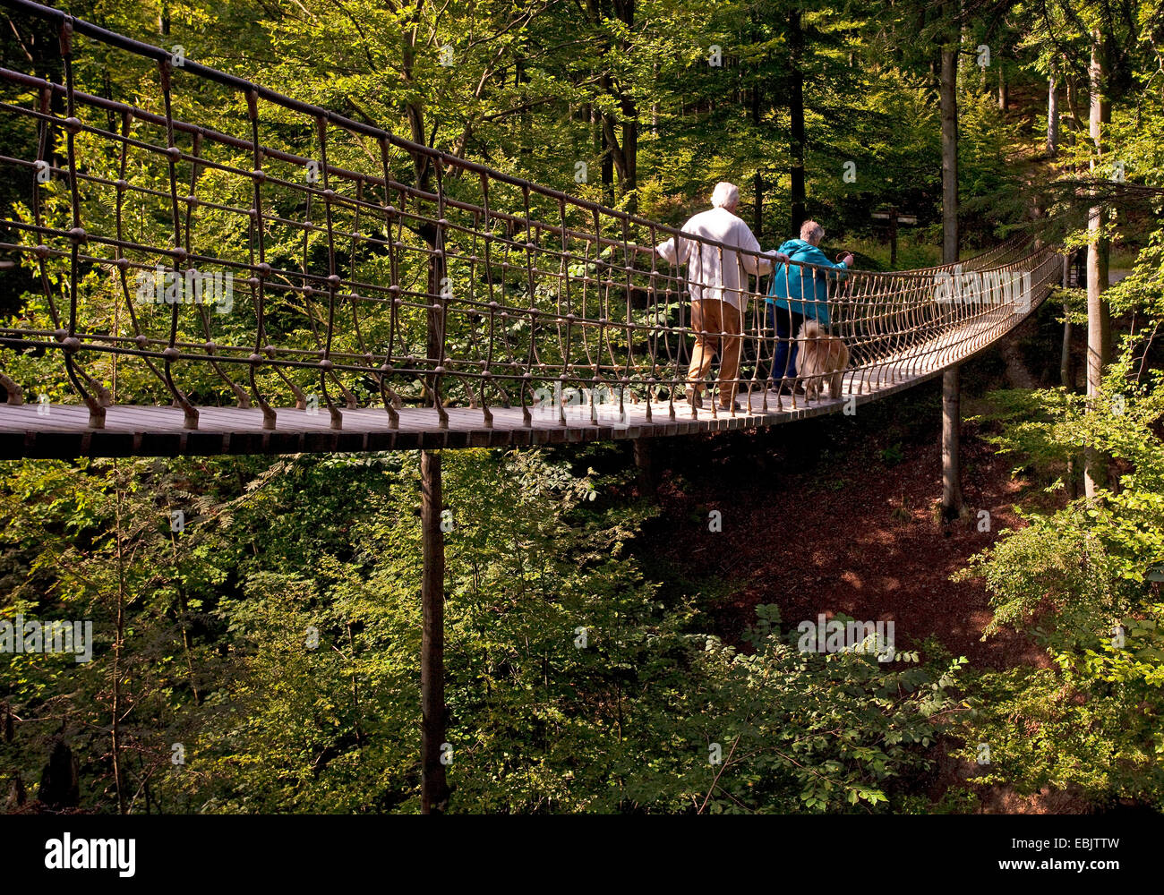 elderly couple with dog crossing the swaying event suspension bridge at ...