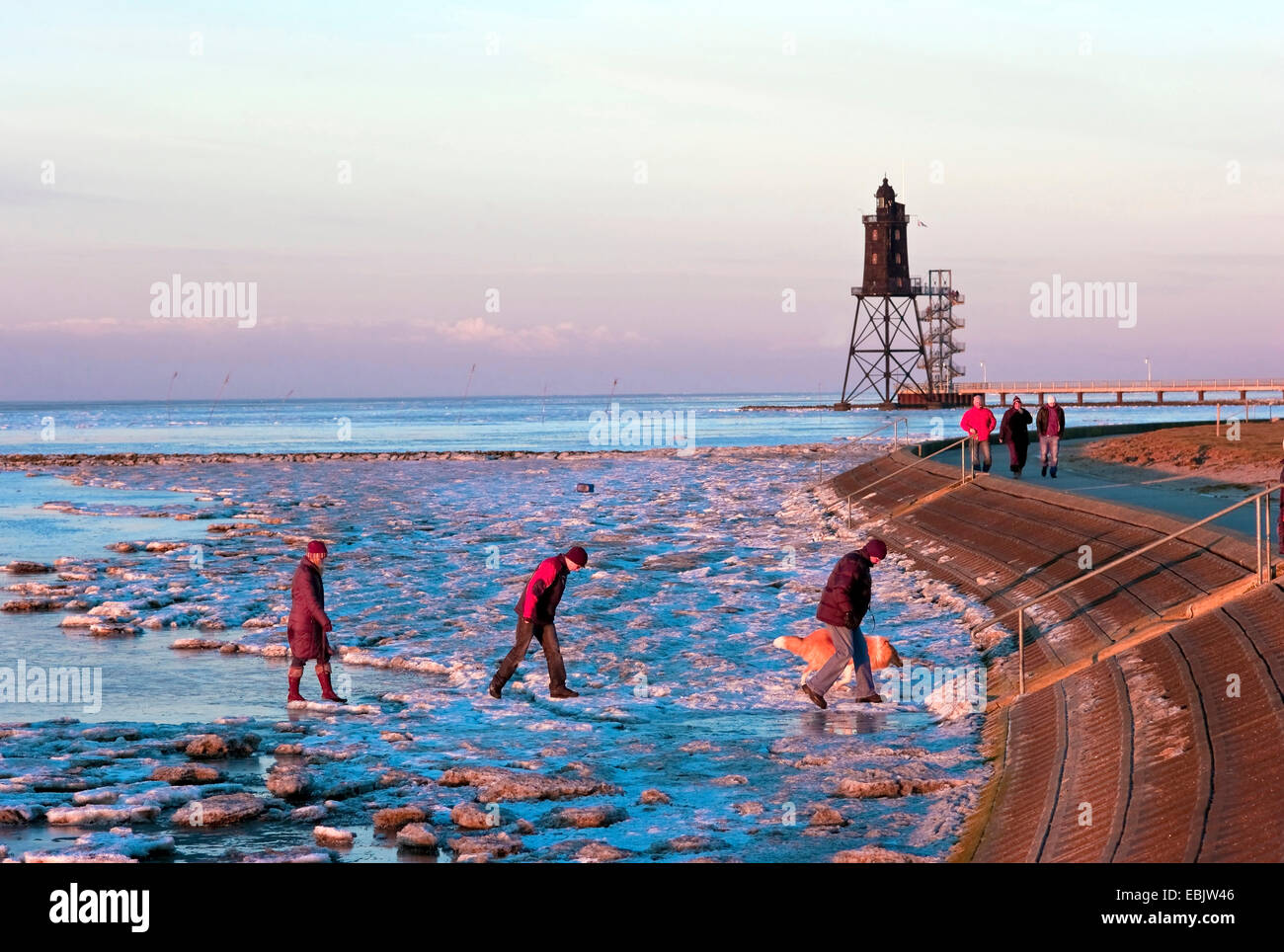 Frozen mud hi-res stock photography and images - Alamy