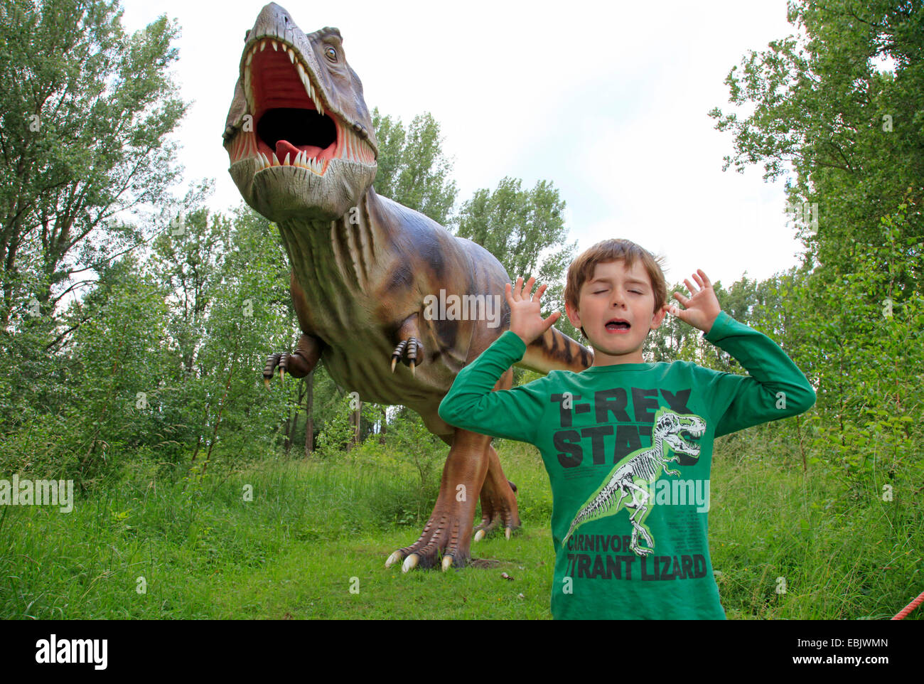 Tyrannosaurus (Tyrannosaurus rex), little boy is terrified by T-rex ...