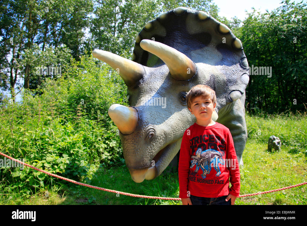 Three Horned Dinosaur (Triceratops), little boy standing in front of a ...