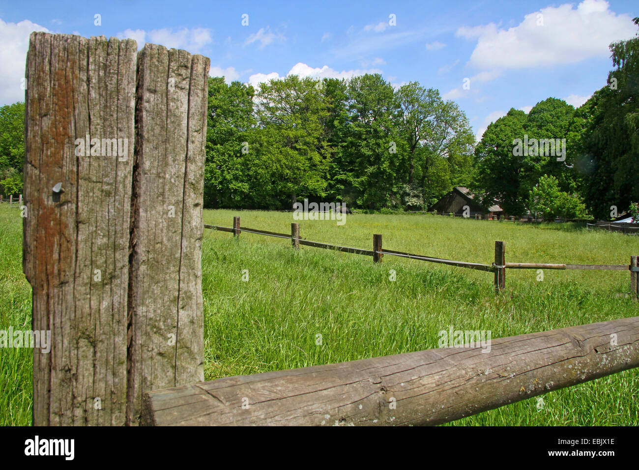 Paddock wood hi-res stock photography and images - Alamy